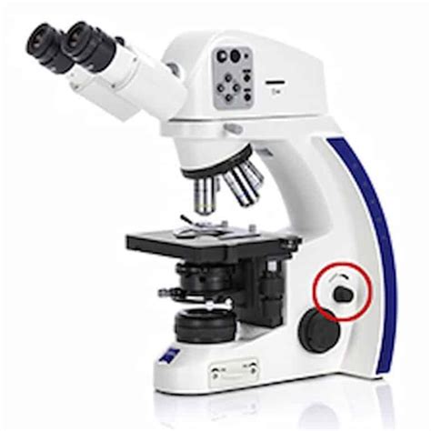 Rheostat Microscope Function Everything You Need To Know
