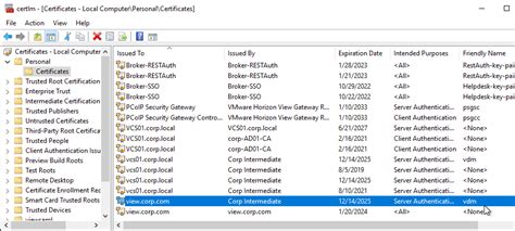 VMware Horizon Connection Server Carl Stalhood