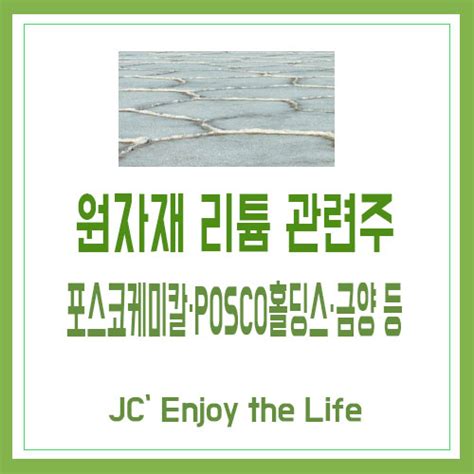 리튬 관련주 포스코케미칼·posco홀딩스·금양 등 원자재 주식 주가 차트 네이버 블로그