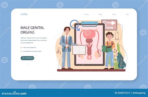 Sexual Education Web Banner Or Landing Page Sexual Health Lesson Stock Vector Illustration Of