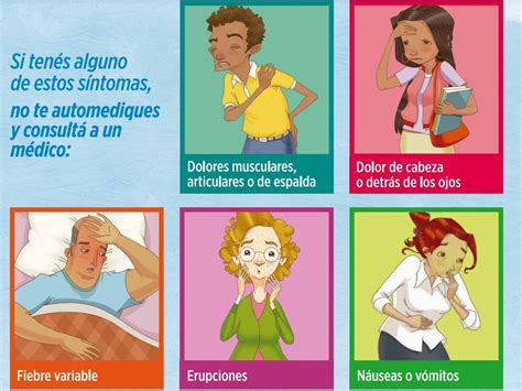 Dengue Cuáles Son Las Tres Fases De La Infección Y Cuándo Acercarse A