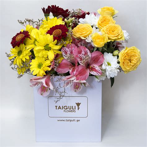 თაიგული Taiguli