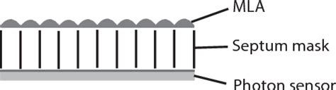 Figure 1 From Iterative Reconstruction Of Projection Images From A