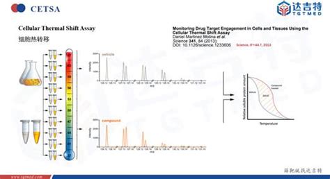 Cetsa Ms（tpp）：四大前沿案例揭示药物靶点发现新路径 Csdn博客