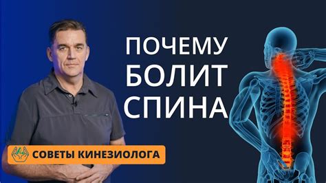 БОЛЬ В СПИНЕ Почему БОЛИТ СПИНА и как ее снять Youtube