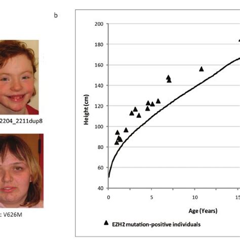 Pdf Germline Mutations In The Oncogene Ezh2 Cause Weaver Syndrome And Pdf Germline Mutations In The Oncogene Ezh2 Cause Weaver Syndrome And