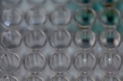 실험실 테스트를 위한 96개의 우물 마이크로플레이트를 가진 물고기 혈액 조성의 연구 Dna에 대한 스톡 사진 및 기타 이미지