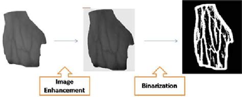 An Efficient Vein Pattern Based Recognition System