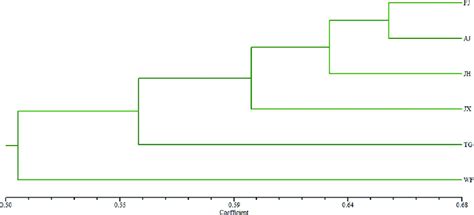 Homology Relationships Of The Six Cyclocarya Provenances Fj Jx Aj Download Scientific