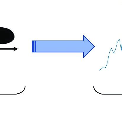 Gait Acceleration Pattern The Human Behavior Vs The Acceleration Download Scientific Diagram