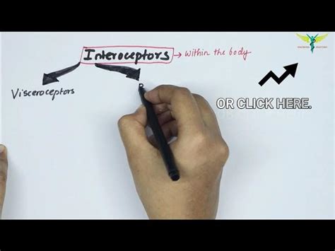 Interoceptors