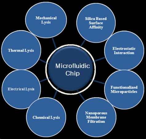 Sample Preparation Using Microfluidic System Cell Lysis And Nucleic Download Scientific