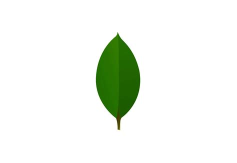 GitHub Marcoshenrique Dev Template MongoDB Yarn This Template Was Created To Facilitate