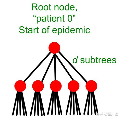 图数据挖掘基于概率的流行病模型 知乎