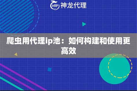爬虫用代理ip池：如何构建和使用更高效 神龙
