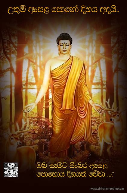 Esala Poya Day Wishes In Sinhala ඇසල පොහොය දිනයේ විශේෂ වැදගත් කම 28