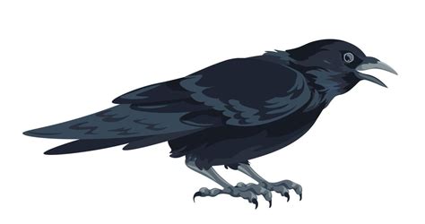 Crow Vector Art Icons And Graphics For Free Download