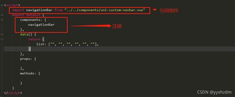 uni app 自定义导航栏组件 miniapp left icon csdn博客
