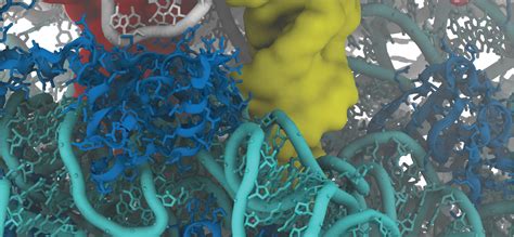 Modeling Molecular Engines MGHPCC