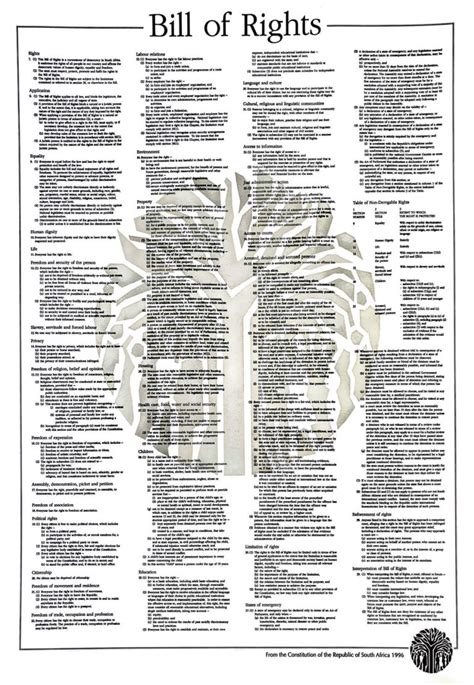 Role The Bill Of Rights Our Constitution