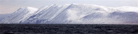 Wrangel Island - Wikitravel