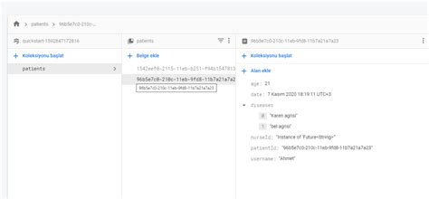 Why Is The Data I Pulled From Firebase Coming From Null Flutterhelp