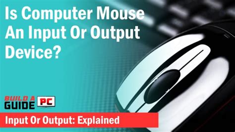 is mouse an input or output device explained xtremegaminerd