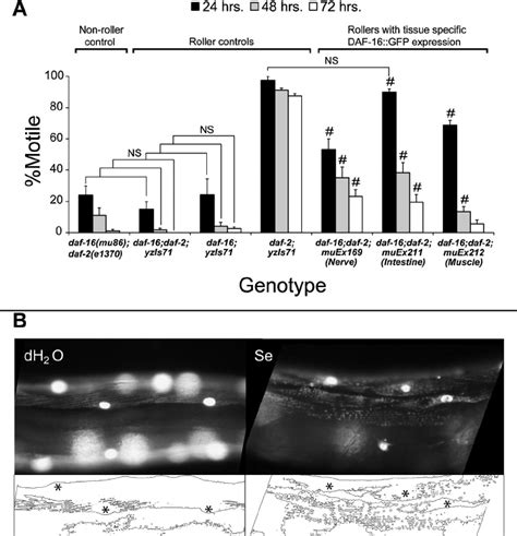 Selenium Exposure And The Effects Of Tissue Specific Expression Of Download Scientific Diagram