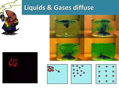 Osmosis Diffusion Active Transport PPTX