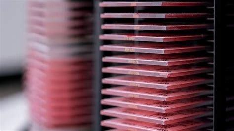 Mayo Clinic Laboratories On Linkedin We Develop Implement And Perform Clinical Forensic And