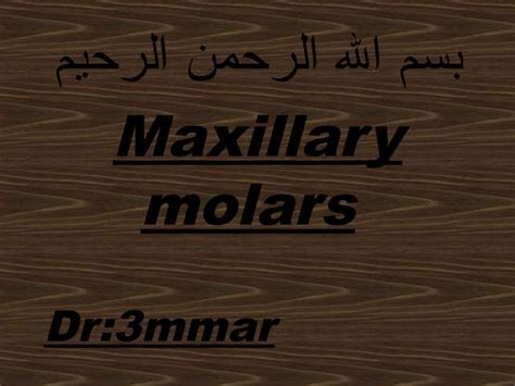 Maxillary Second Molar Pptx