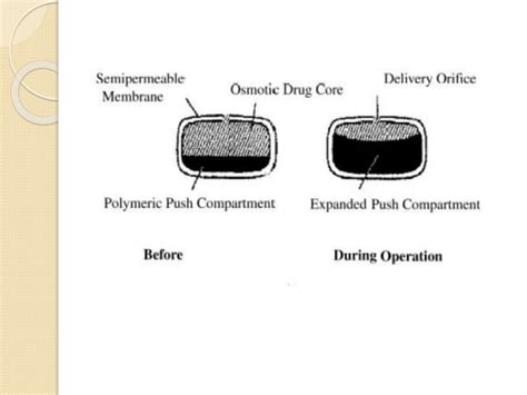 Osmotic Drug Delivery System PPTX Operating Systems Computer Software And Applications