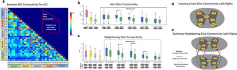 Intra Slicesegment And Neighboring Inter Slicesegment Connectivity