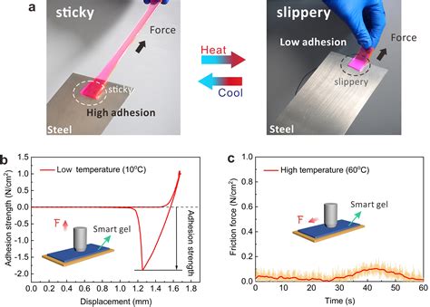 a design of dynamic multiscale contact synergy for reversible