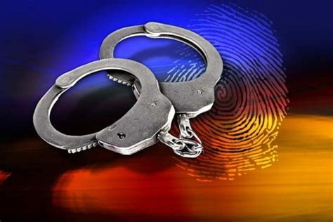 Ex Fbi Agent Nicholas Williams Gets 4 Months For Theft Under Coverist