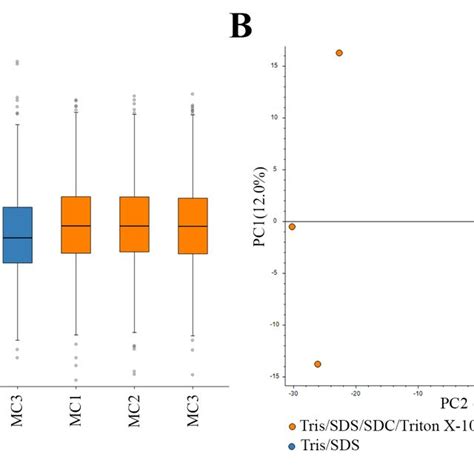label free quantitative lfq proteomics of biological replicates 1