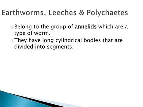 Animal Classification Grade 5 Pptx Reptiles Pets Animal Classification Grade 5 Pptx Reptiles Pets