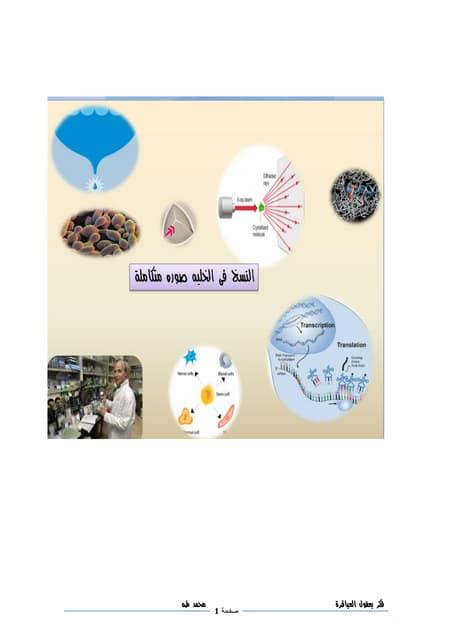 النسخ فى الخليه الصوره متكامله Pdf