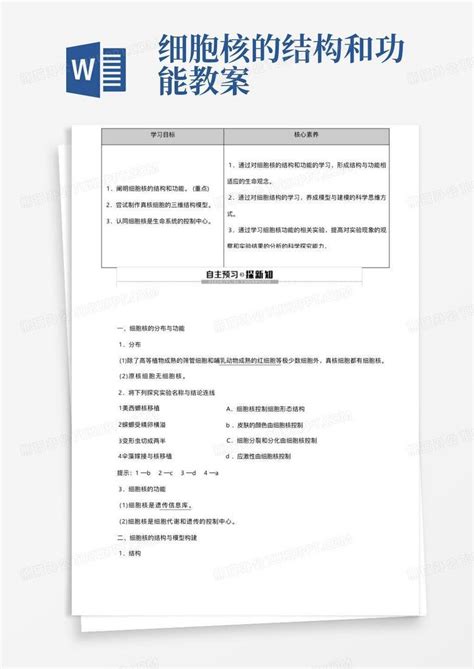 细胞核的结构和功能教案 新人教版高中细胞核的结构和功能教案必修生物word模板下载 编号laompmrl 熊猫办公