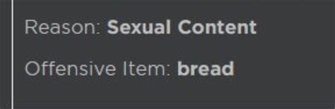 Got Banned For Having Sex On Roblox But One Of The Ban Reasons Was This Idk Guys I Think I M