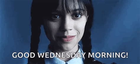 Morning Wednesday GIFs | GIFDB.com