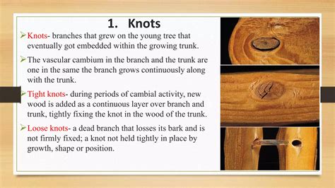 Defects In Wood Pptx