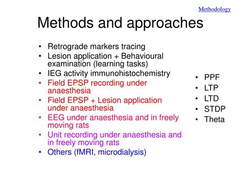 Ppt Why Are There Parallel Hippocampal Diencephalic Pathways For Event Memory Powerpoint
