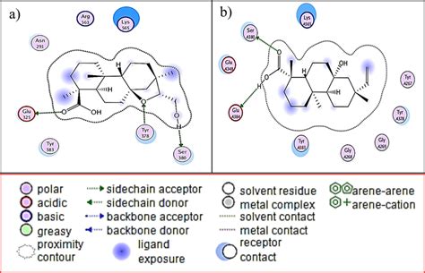 2d Binding Interaction Mode Of The Docked New Metabolite 1 And The