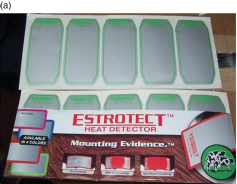 Estrus Detection Heatwatch Patches In Cows Bovis Vetlexicon