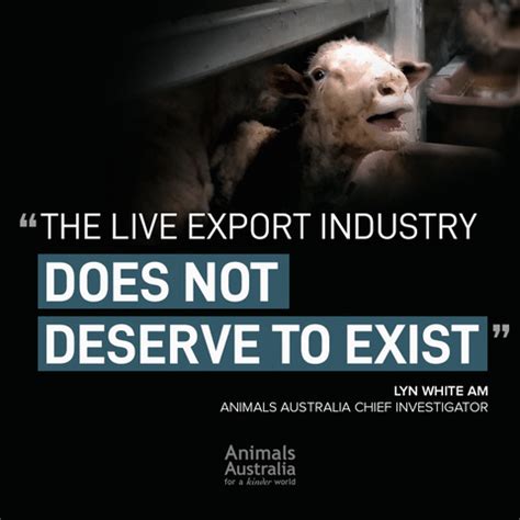 Live Export GIFs Get The Best GIF On GIPHY