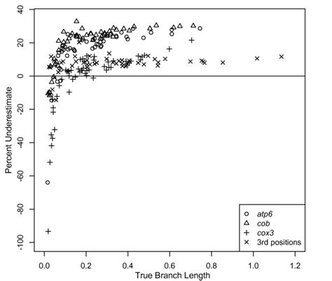 Underestimate Of Bayesian Branch Lengths Using Empirical Parameters