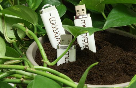 We Grew Some Mushroom Networks Usbs
