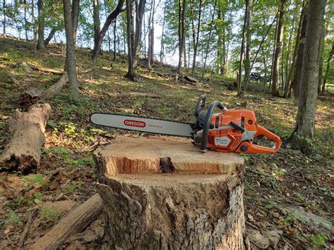 Arborist Classes In Northern Va Rchainsaw