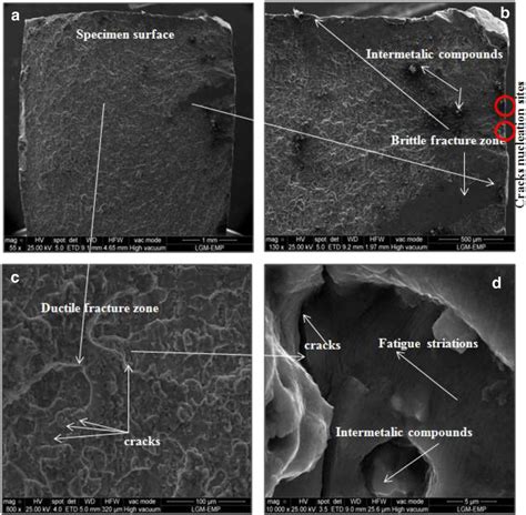 Sem Image Showing Fracture Surface Of An Annealed Specimen Individual